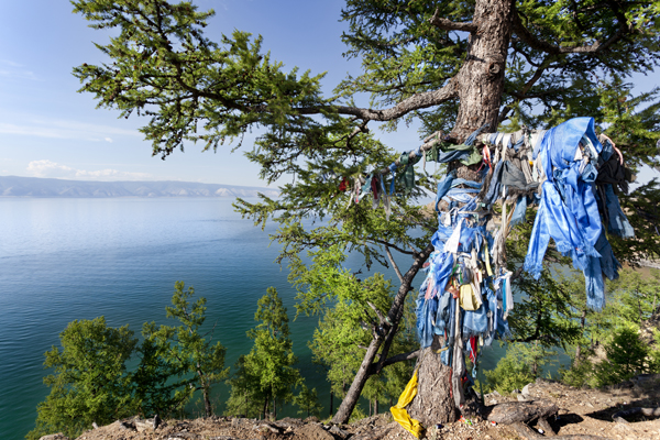 New to Shamanism - Society for Shamanic Practice