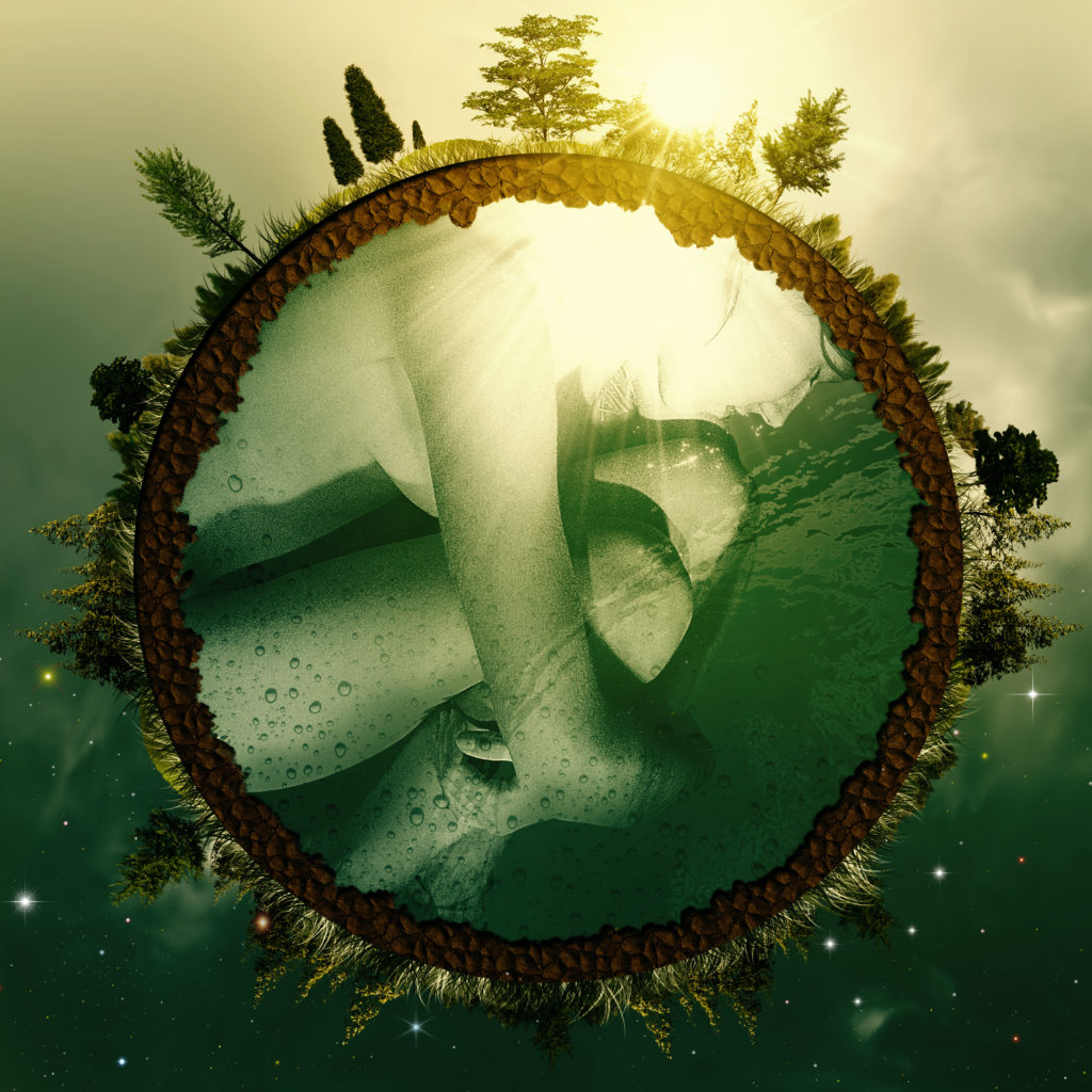 Authentic Self, Authentic Shaman - Society for Shamanic Practice