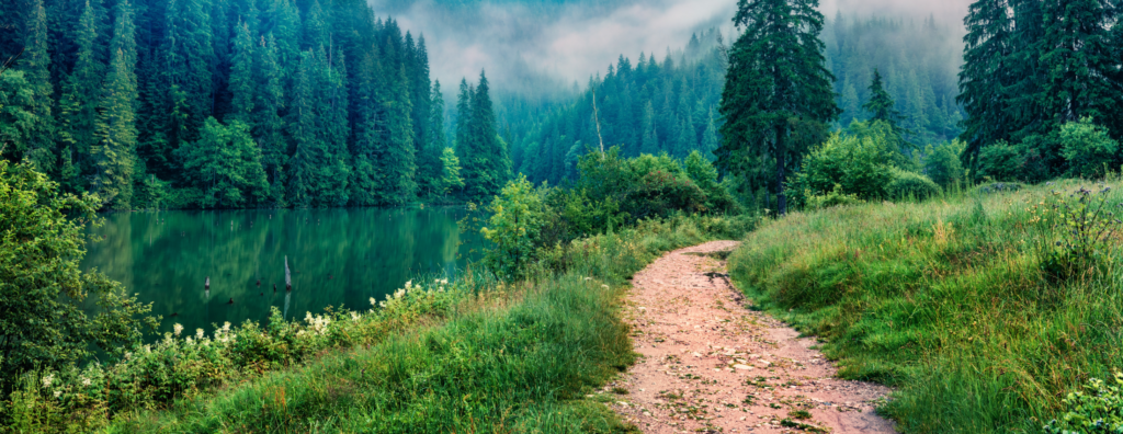 “TROID NÓ TEITH“: AN IRISH HEALING PATHWAY INTO THE “FIGHT/FLIGHT ...