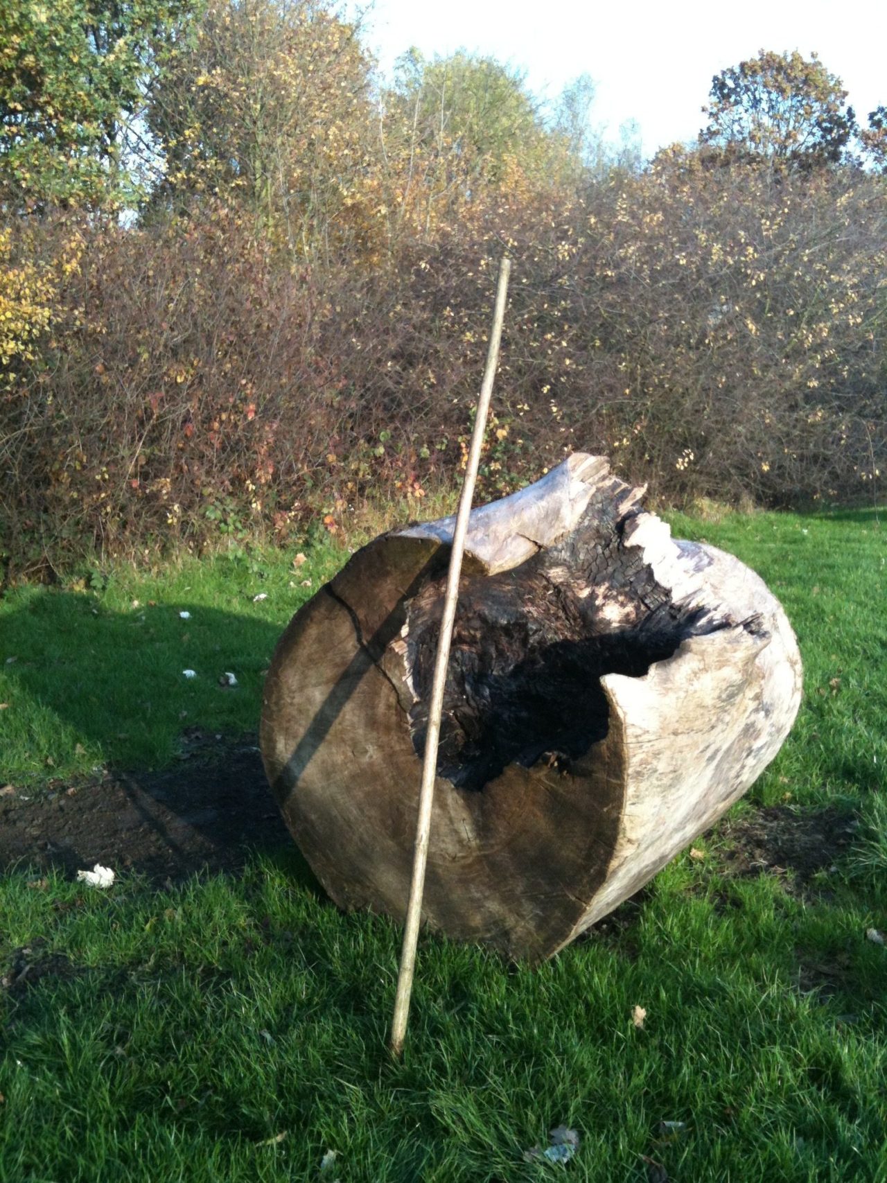 Seidr Craft - Society for Shamanic Practice