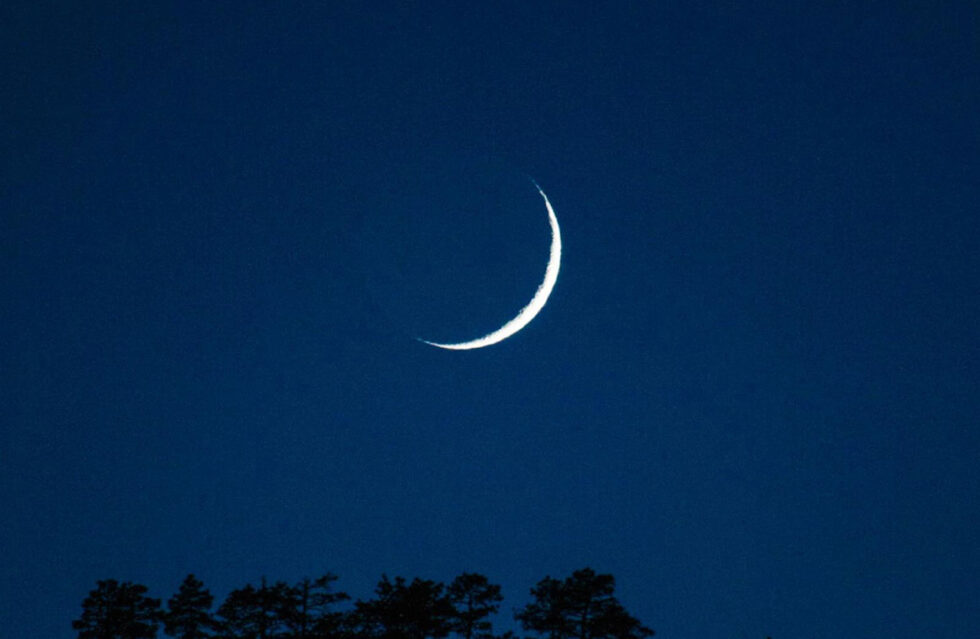 Taurus New Moon Shamanic Journey Meditation - Society for Shamanic Practice